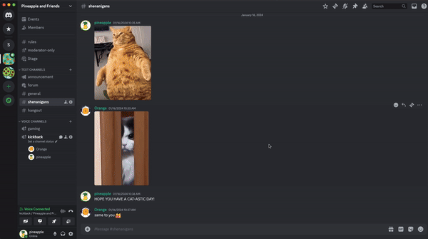 Members Page – Discord