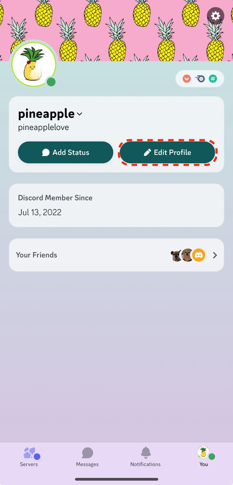 Profil Efektleri – Discord