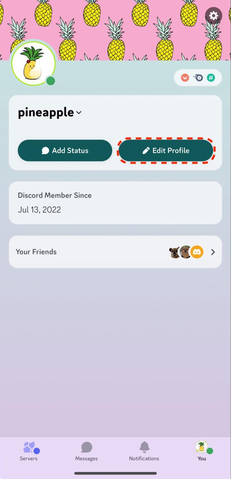 Avatar Decorations – Discord