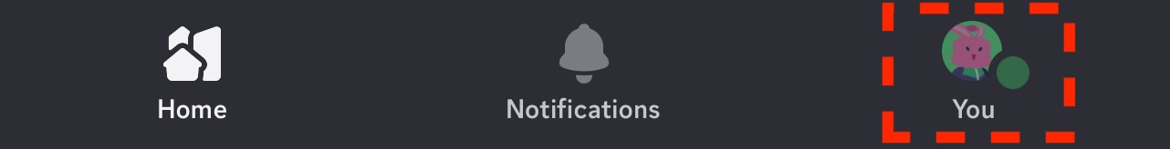 Custom Profiles – Discord