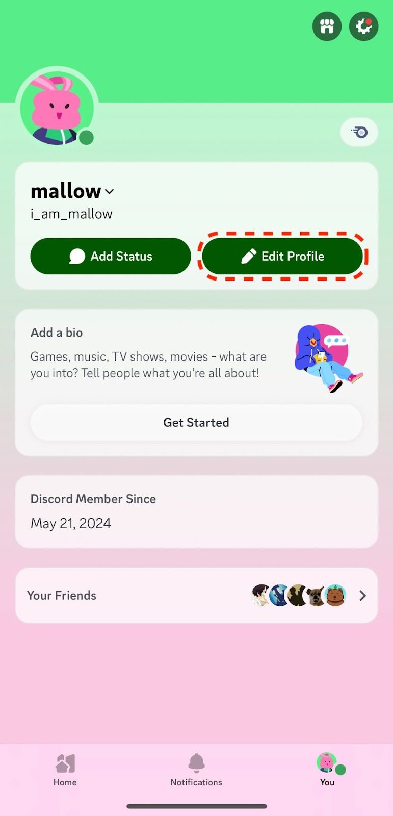 Custom Profiles – Discord