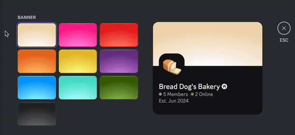 Server Profile – Discord