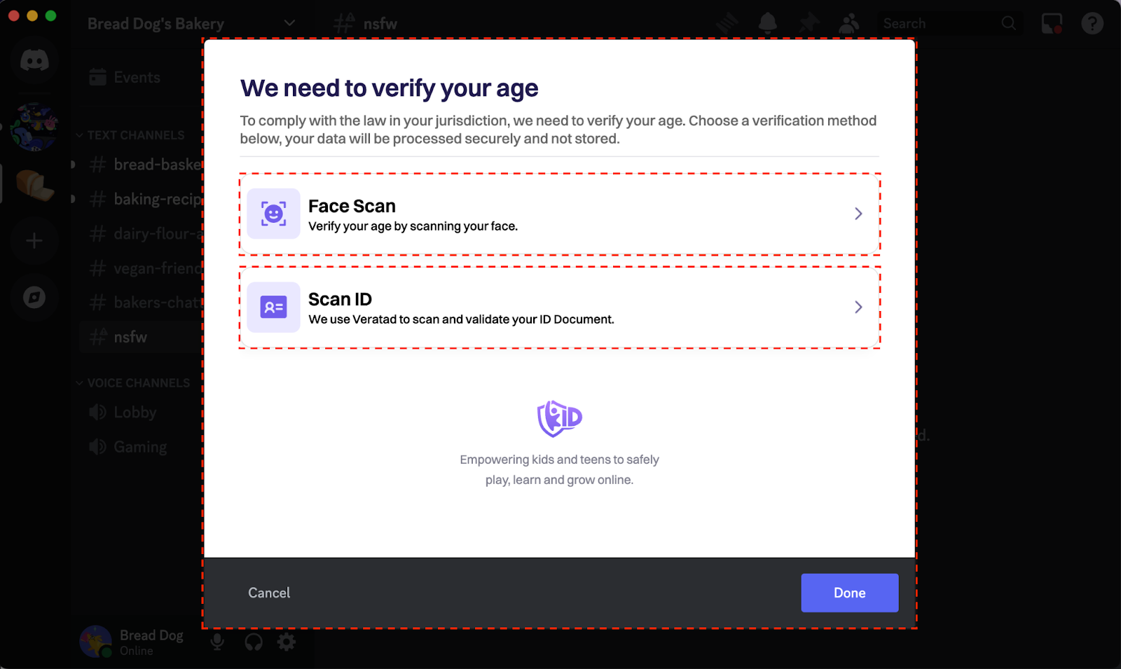 Cómo Completar la Verificación de Edad en Discord – Discord