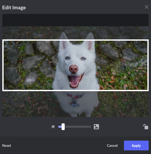 Persoonlijke profielen – Discord
