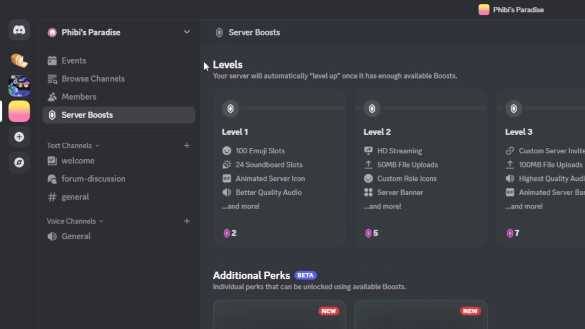 Tag del server – Discord