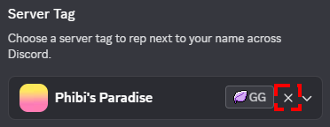 Tagi serwera – Discord