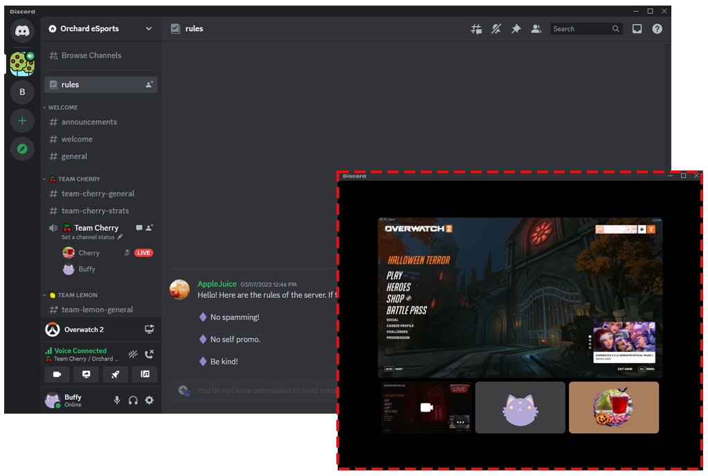 Go Live và Chia Sẻ Màn Hình – Discord