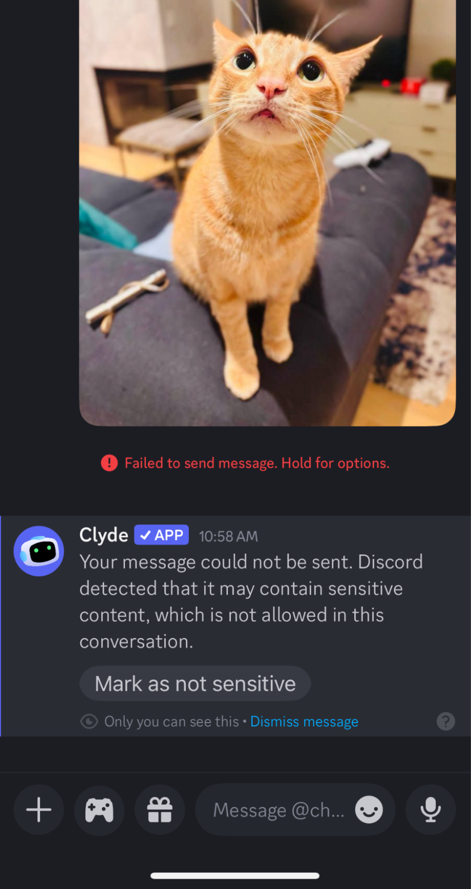 Bộ Lọc Nội Dung Nhạy Cảm Trên Discord – Discord