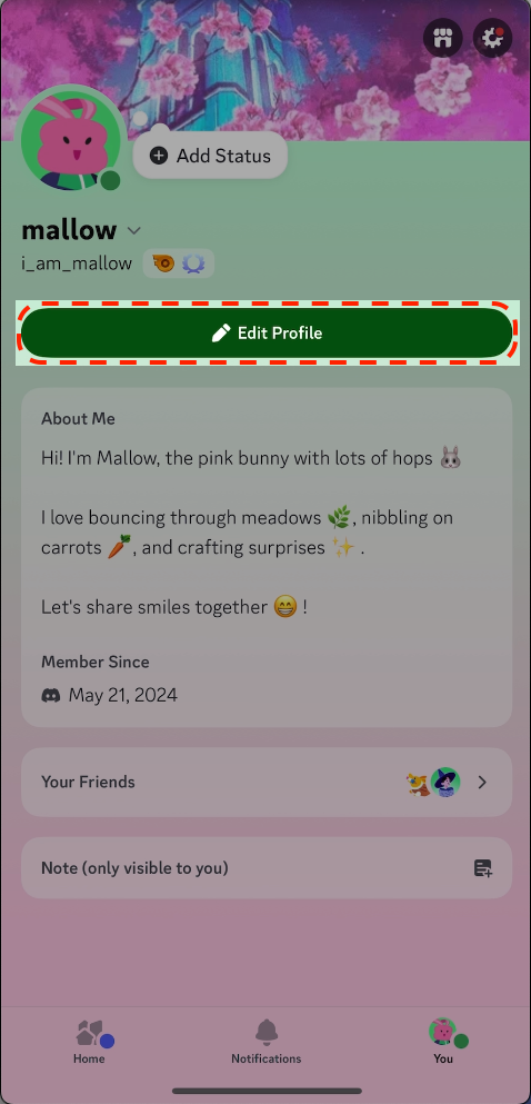 Câu Hỏi Thường Gặp về Bảng Tên – Discord