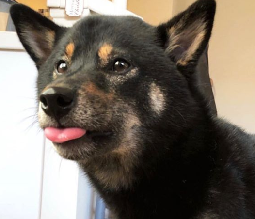 Discord 초보자를 위한 안내서 – Discord