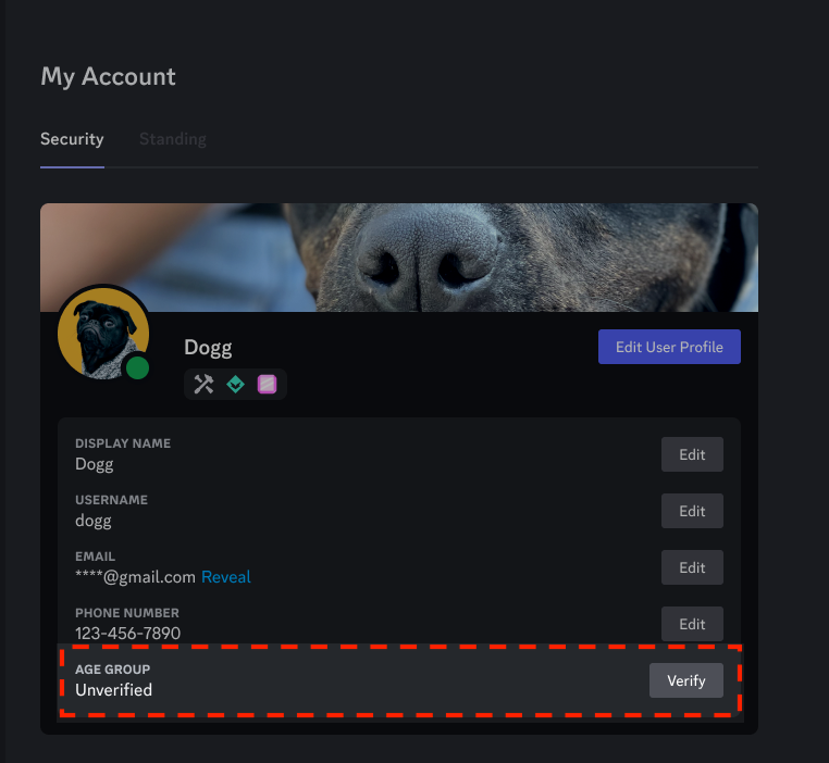 How to Complete Age Assurance on Discord – Discord