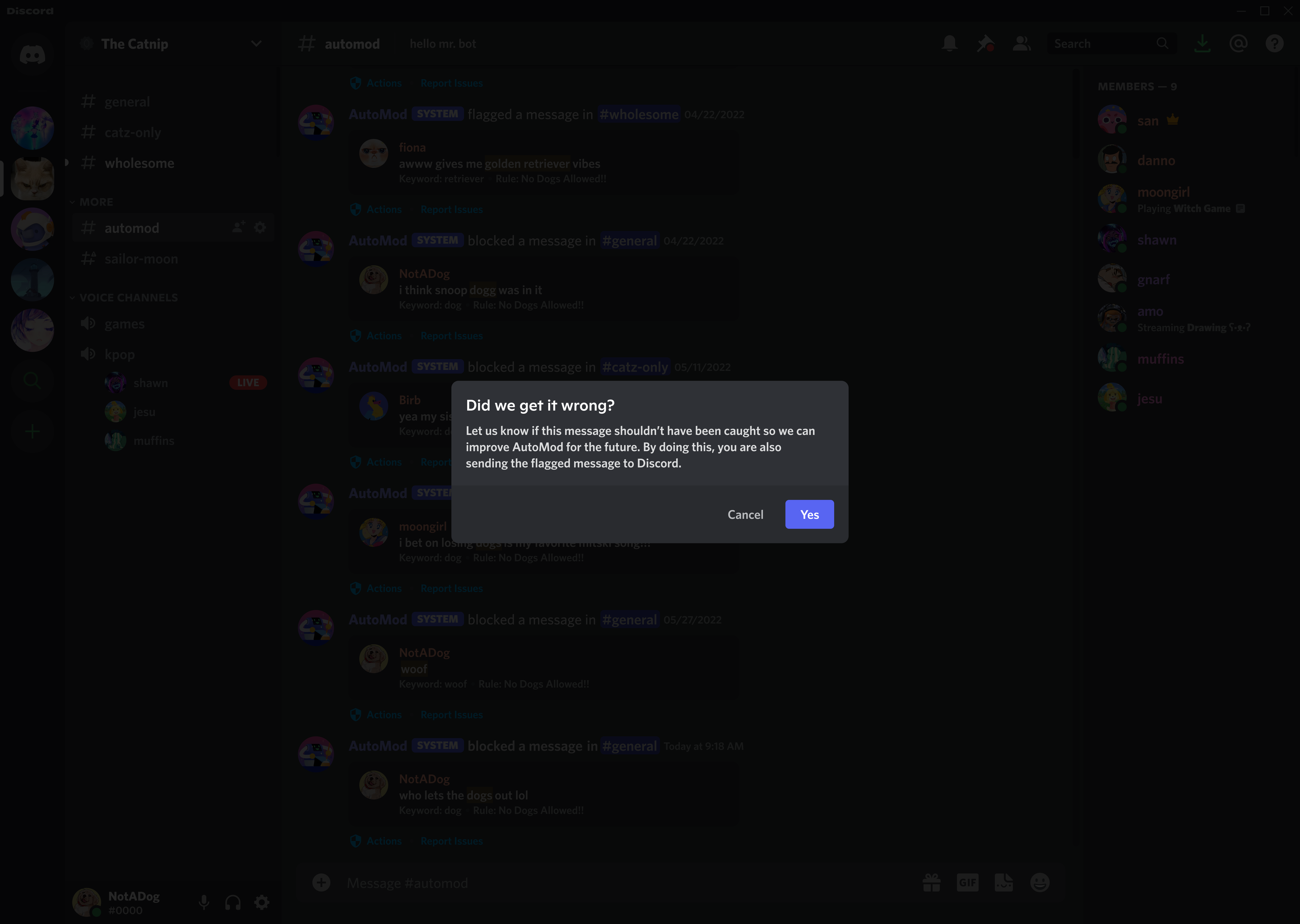 AutoMod FAQ – Discord