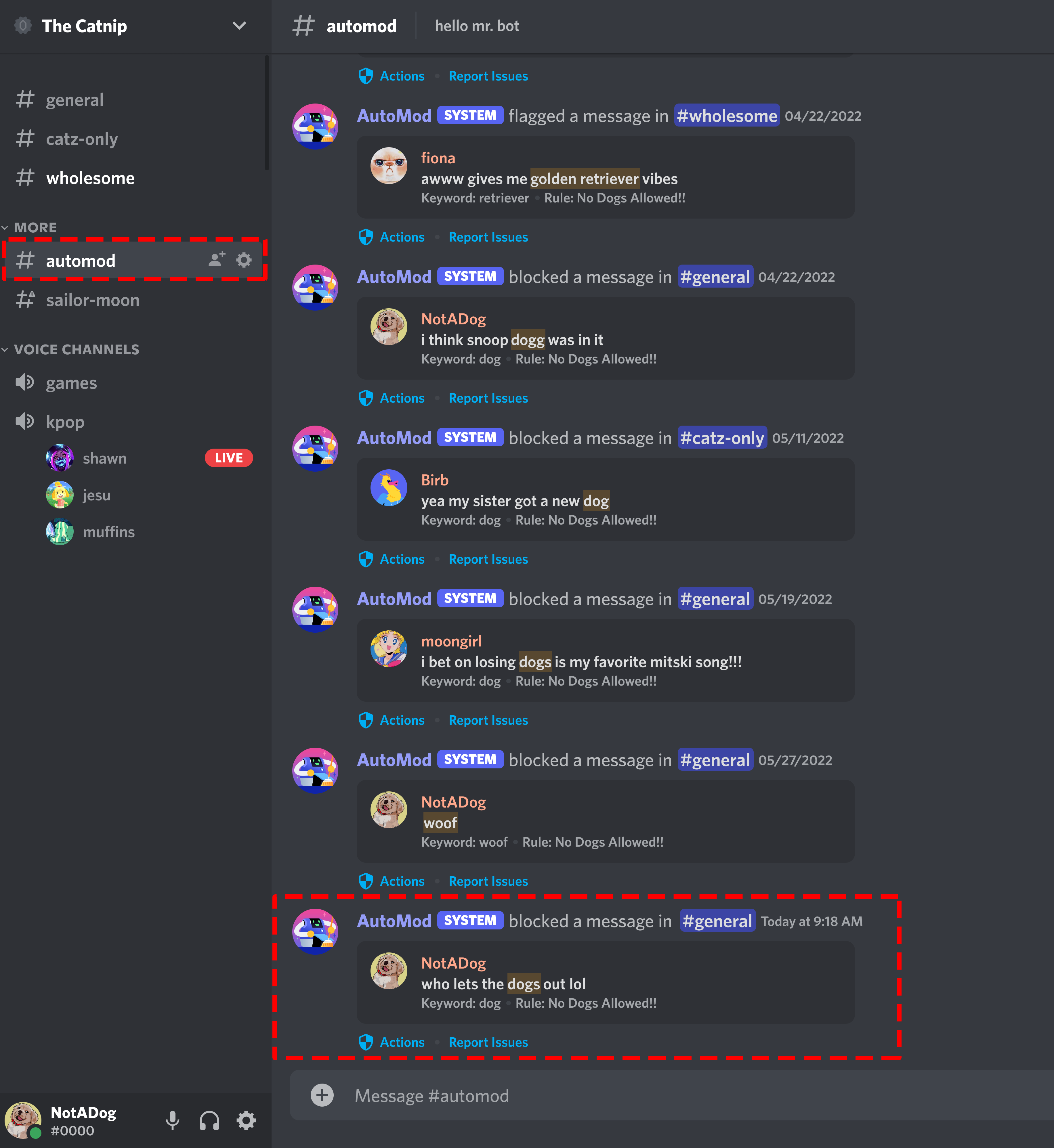 AutoMod FAQ – Discord