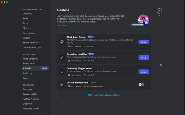 AutoMod FAQ – Discord