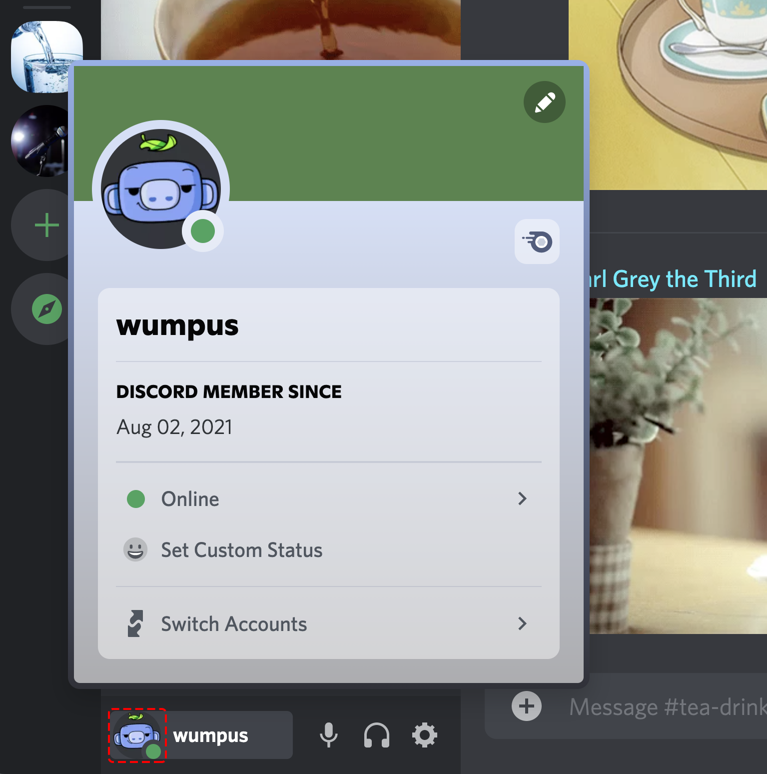 Custom Profiles – Discord